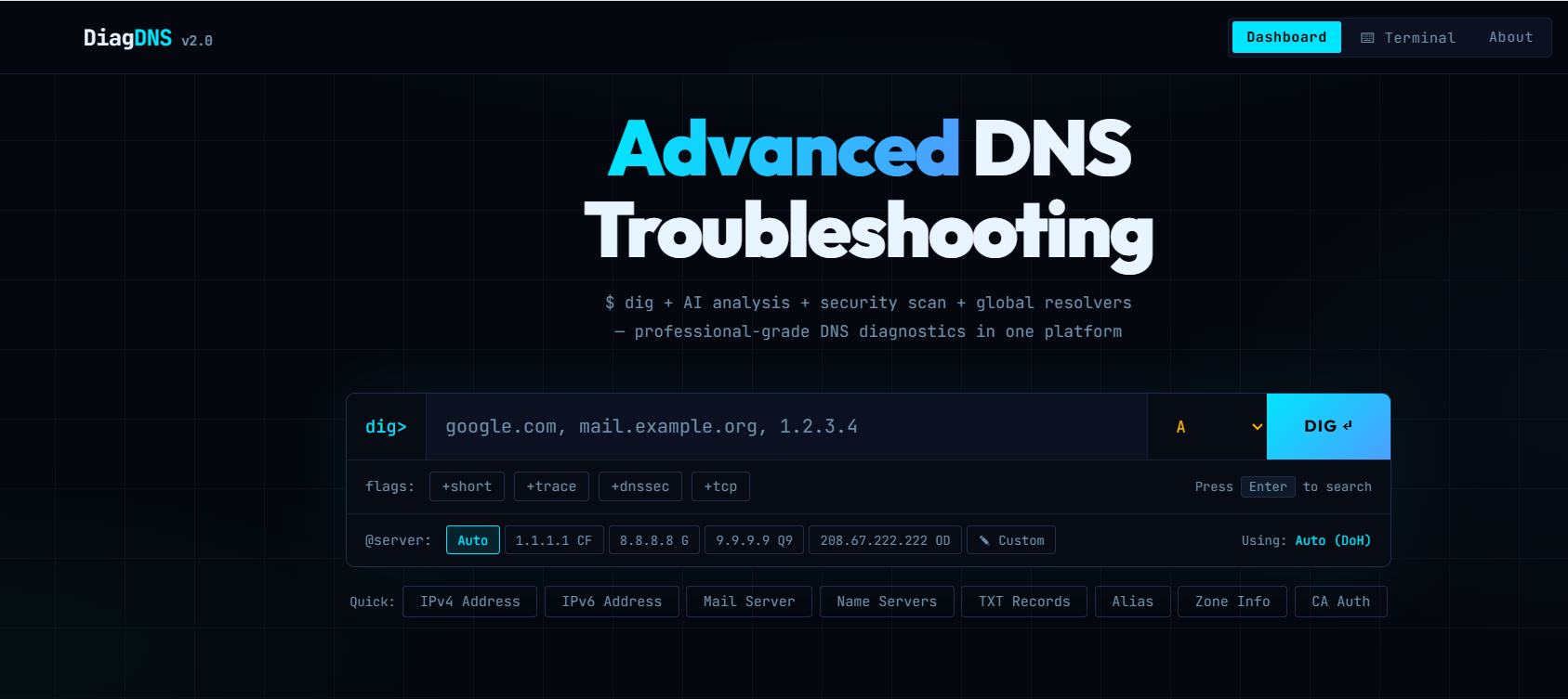 DiagDNS — Free DNS Lookup & Troubleshooting Tool | dig online